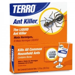 Terro can kill carpenter ants safely | Jen Spends Less